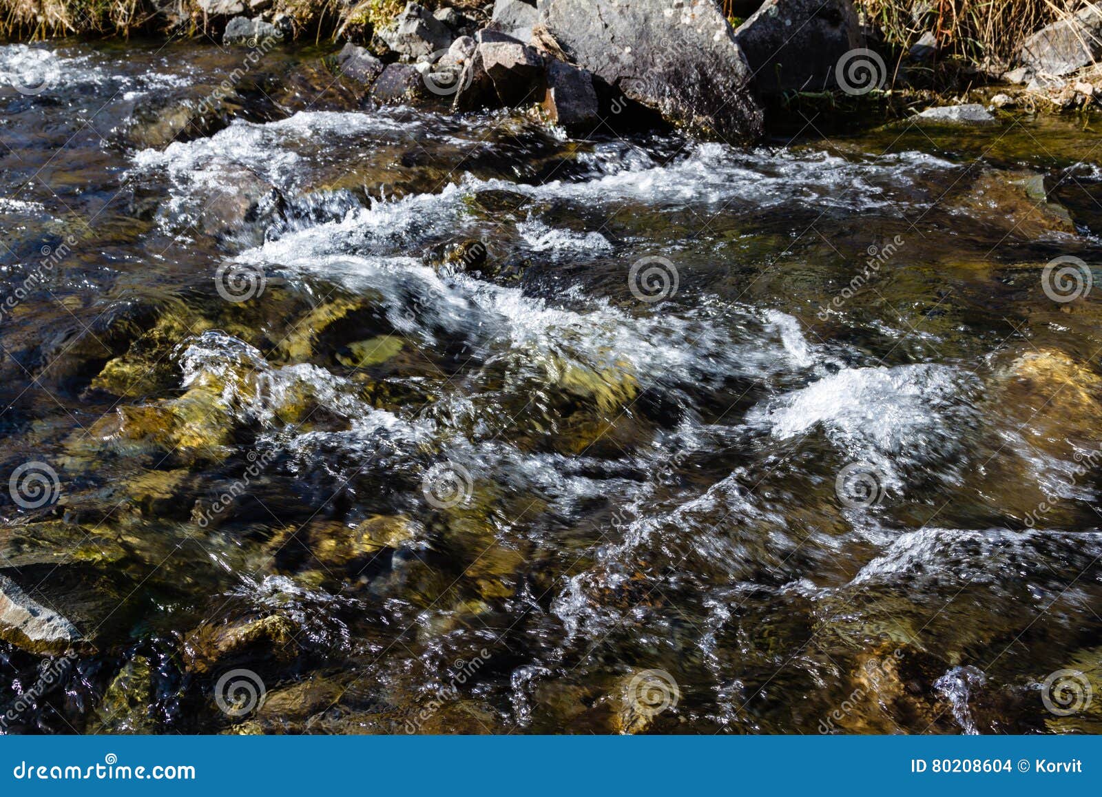 Clean Water in a Mountain Stream Stock Photo - Image of stone ...