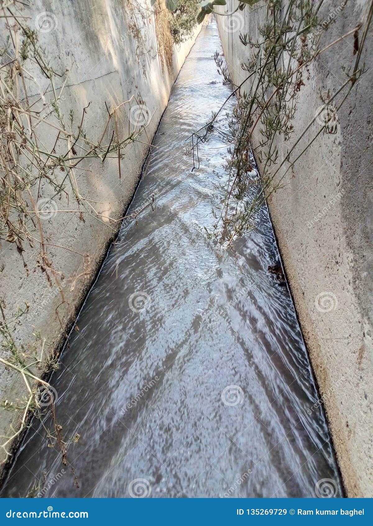 Clean water stock image. Image of move, clean, water - 135269729