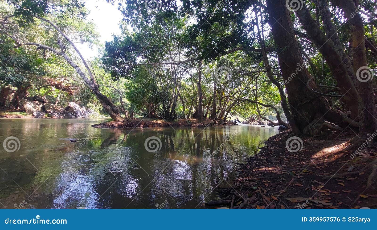 Clean Water and Rocks in a Nature Park Stock Photo - Image of meadow ...