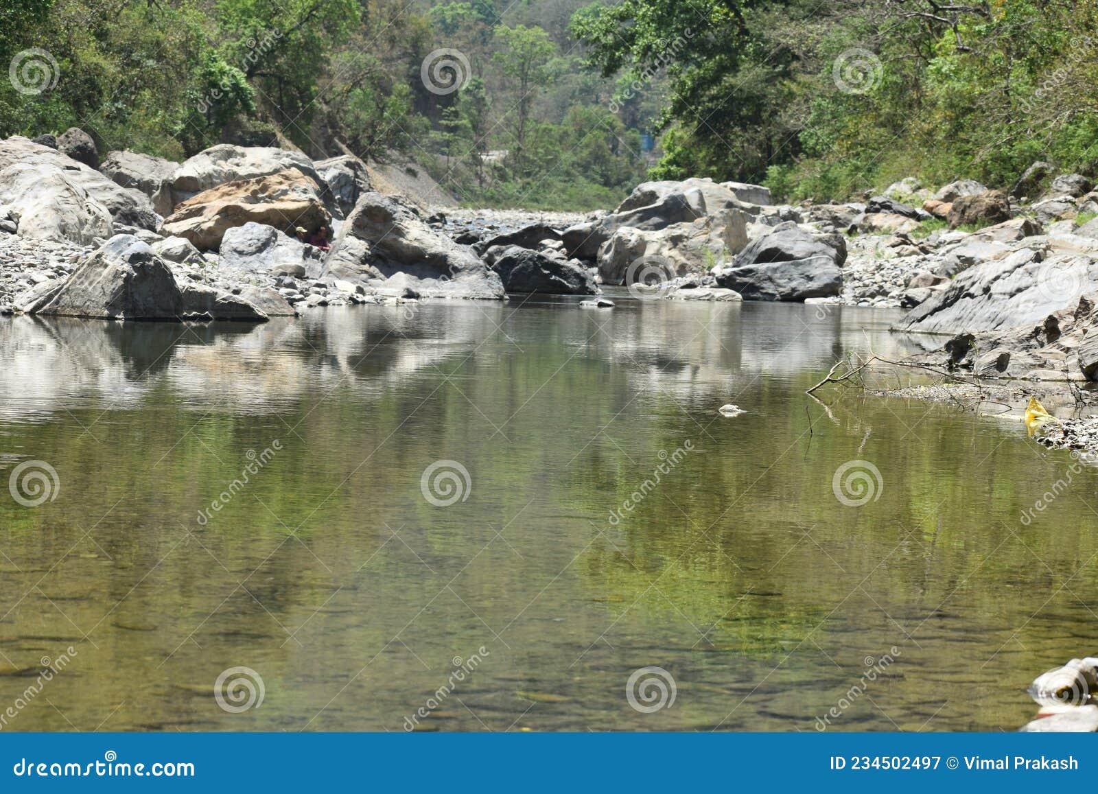 Clean Water Pond with Rocks Stock Image - Image of wilderness, water ...