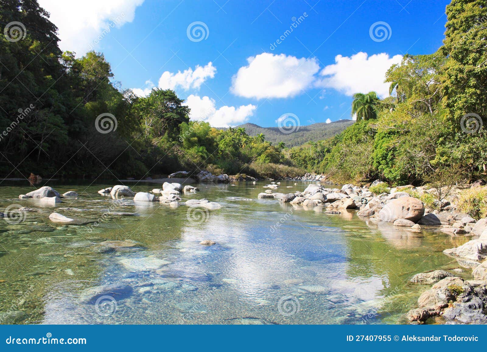 Clean Water of Rio Toa , Cuba Stock Image - Image of baracoa, lagoon ...