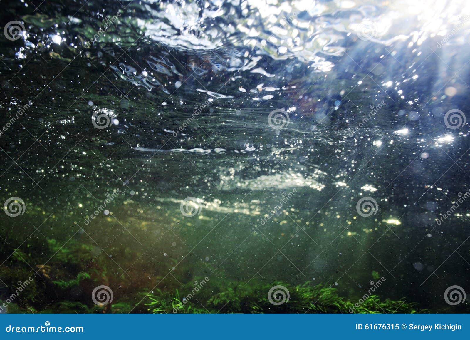 Clean water in river stock image. Image of lake, grass - 61676315