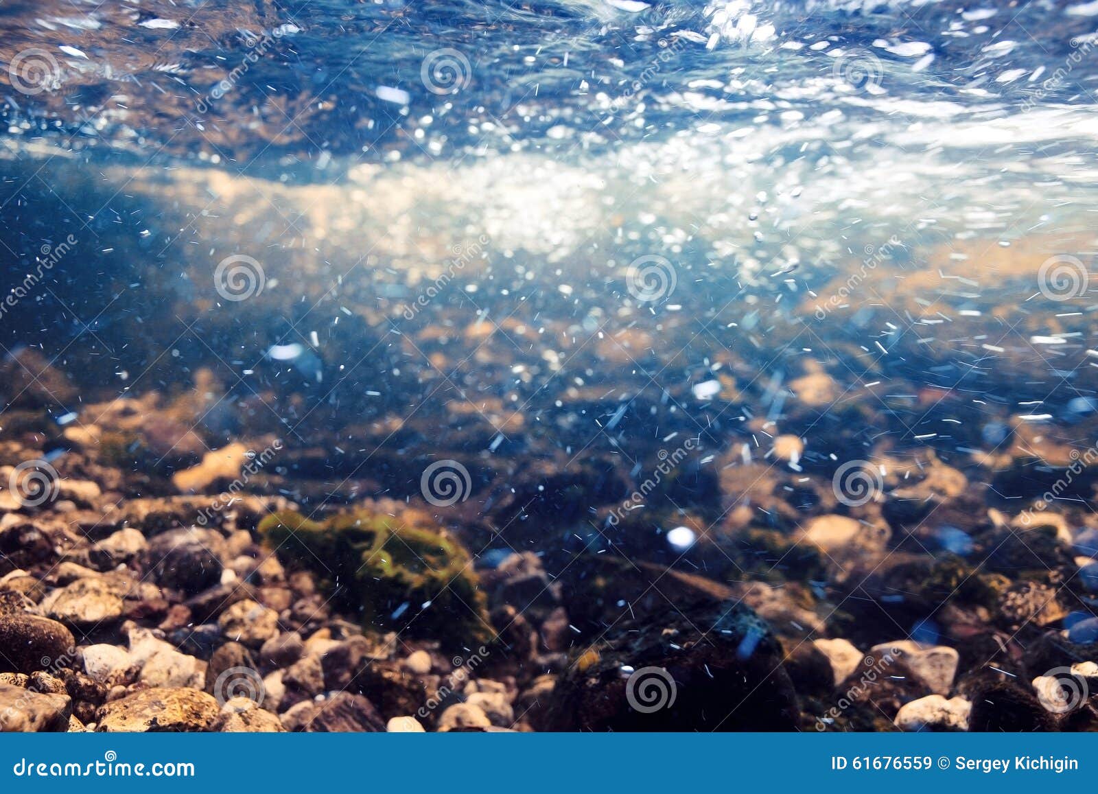 Clean water in river stock image. Image of aquatic, movement - 61676559