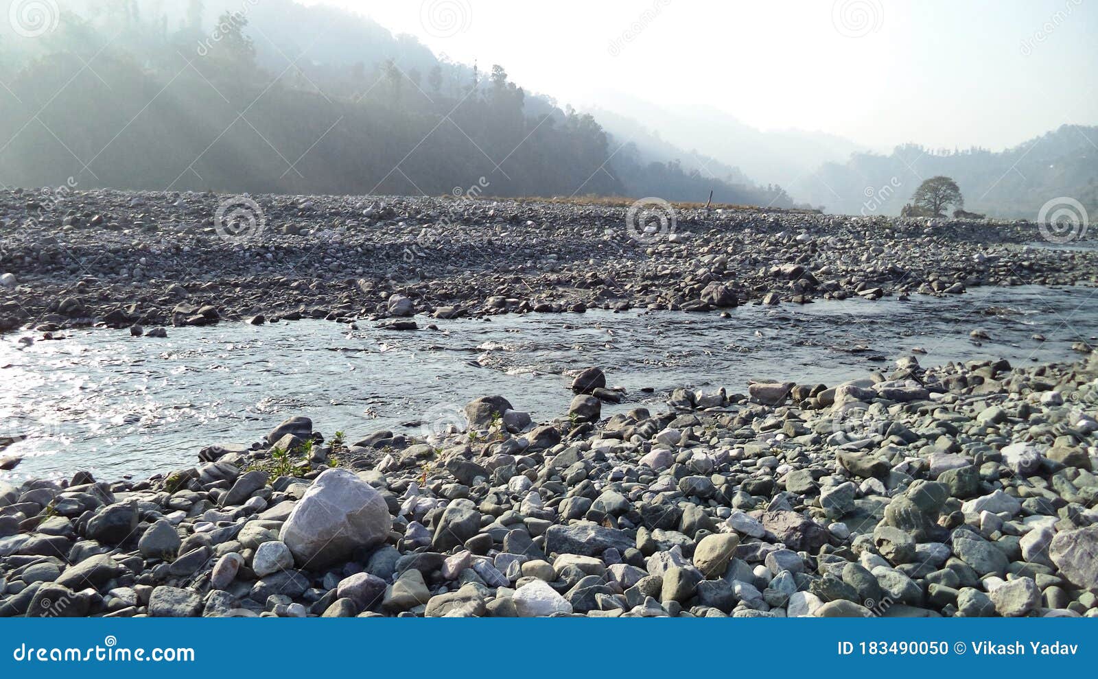 Clean Water Small River Flowing in Mountain Valley Stock Photo - Image ...