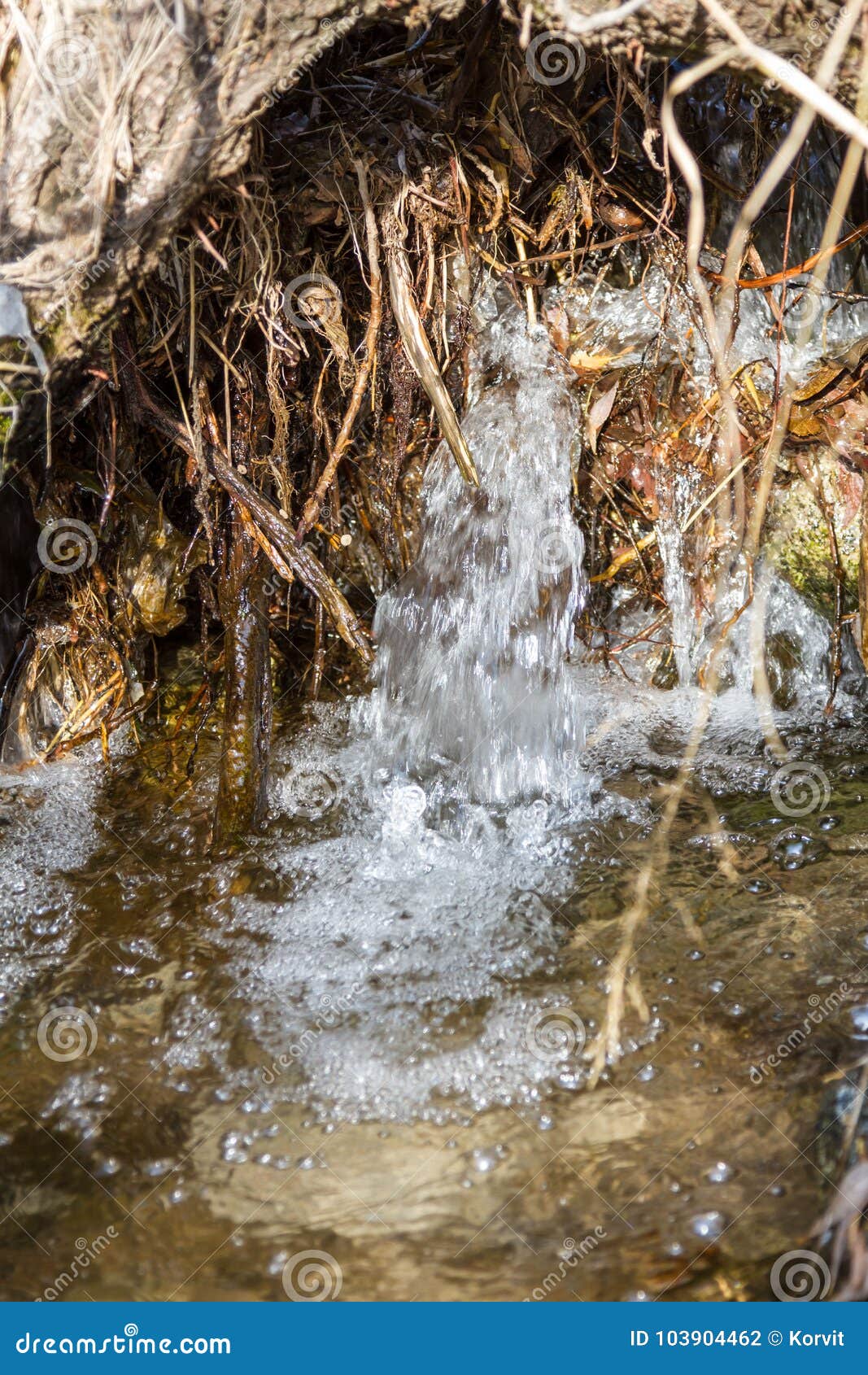 Clean water from a spring stock photo. Image of beautiful - 103904462