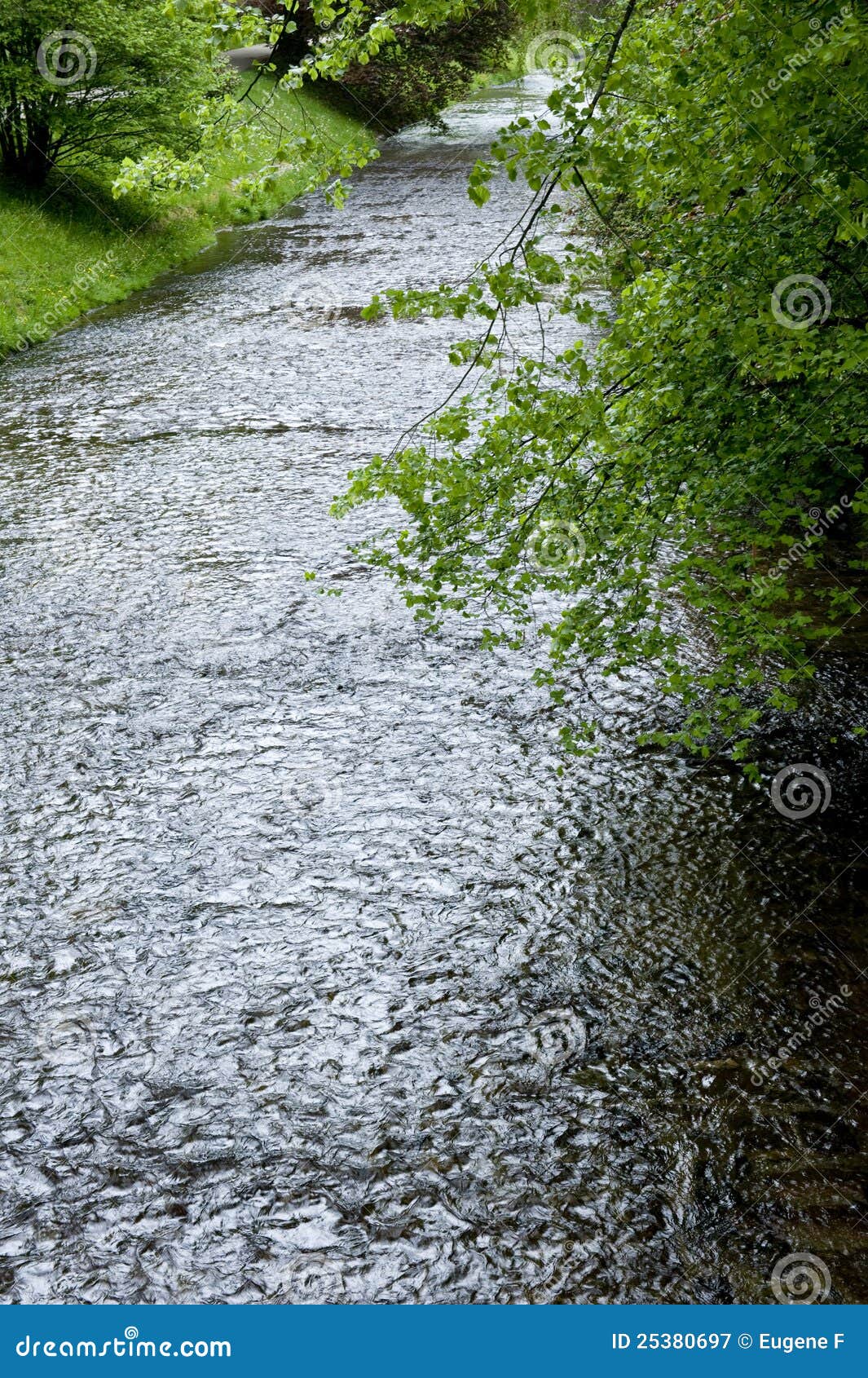 Clean Water Stream stock image. Image of calm, long, forest - 25380697