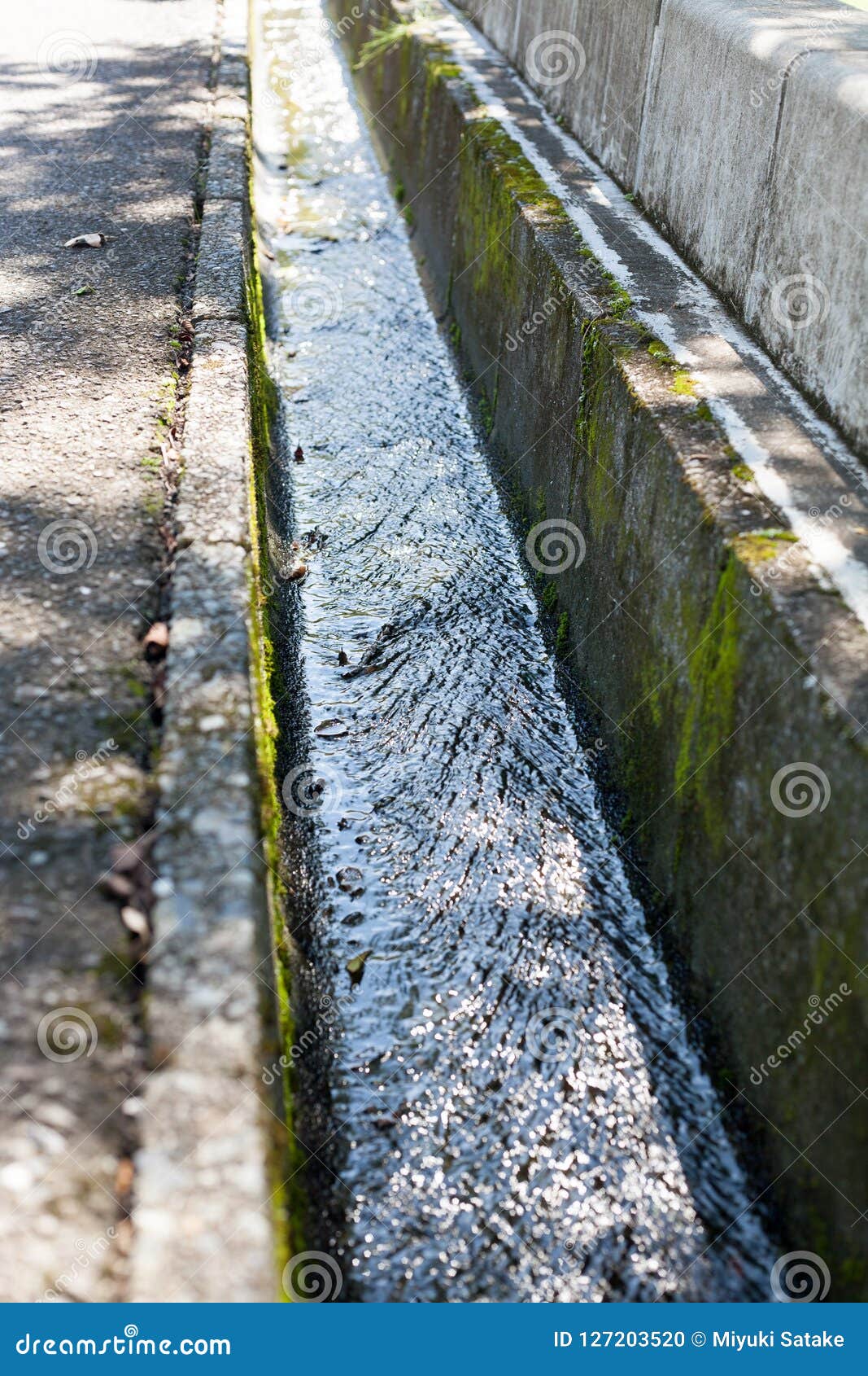 Clean Water Streaming in Concreate Made Small Drainage Stock Photo ...