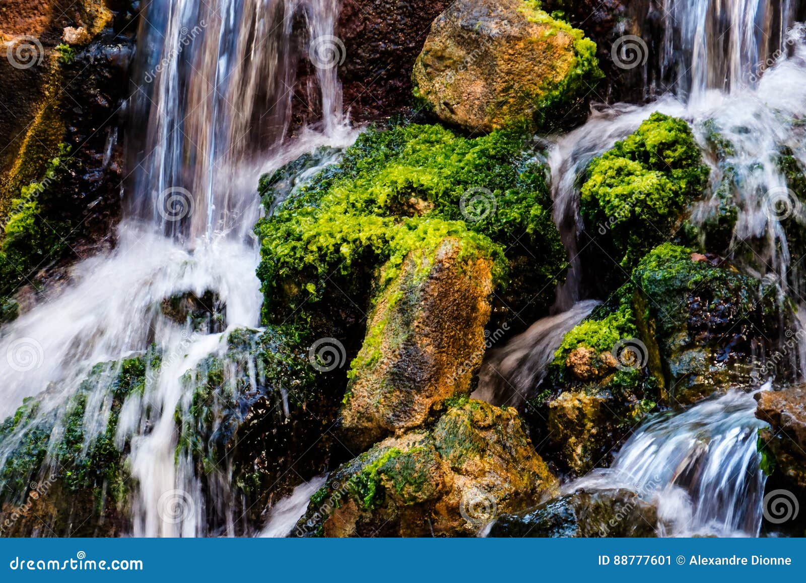 Clean Waterfall with Algae stock image. Image of moss - 88777601