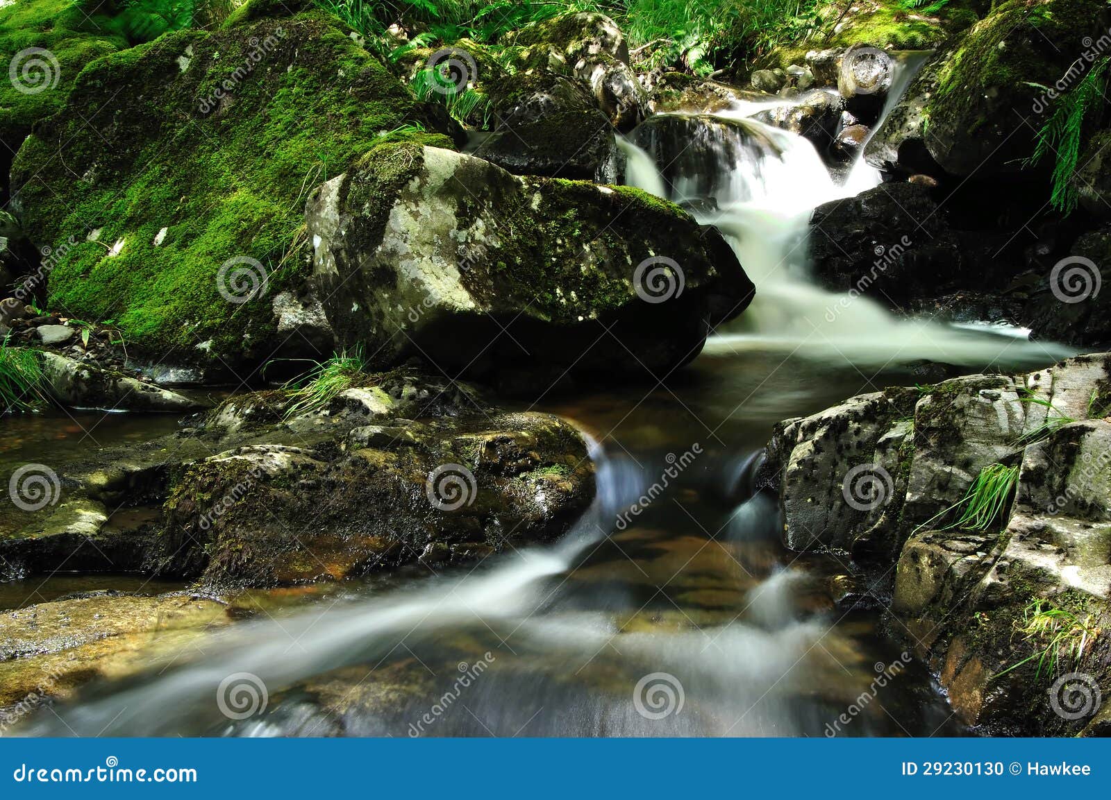 Clean Waterfall in Wild Scottish Nature Stock Photo - Image of fall ...