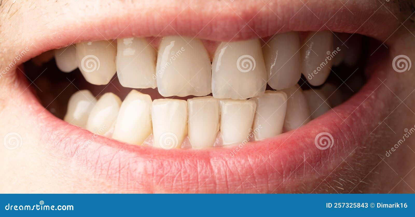 Clean white human teeth stock image. Image of horizontal - 257325843