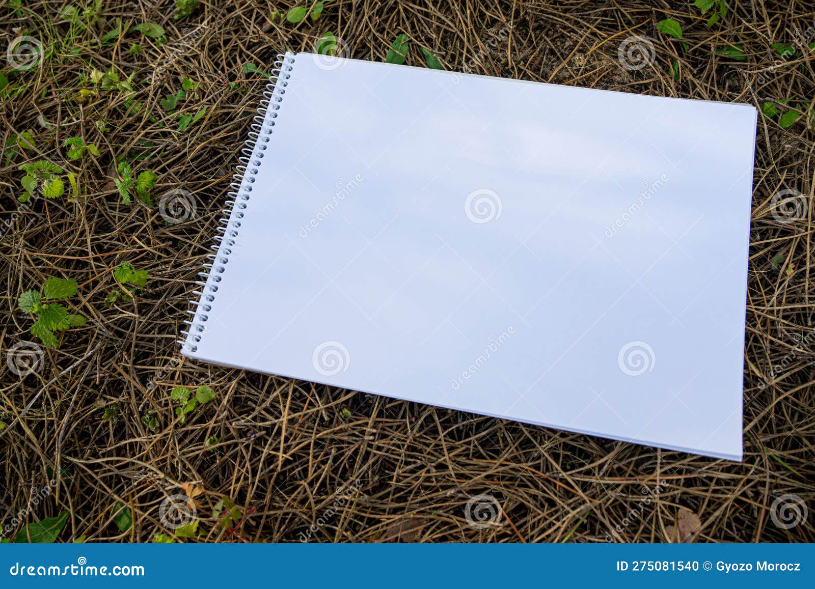 Horizontal Notes Mockup in Forest Stock Photo - Image of book, pattern ...