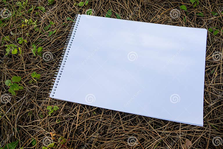 Horizontal Notes Mockup in Forest Stock Photo - Image of book, pattern ...
