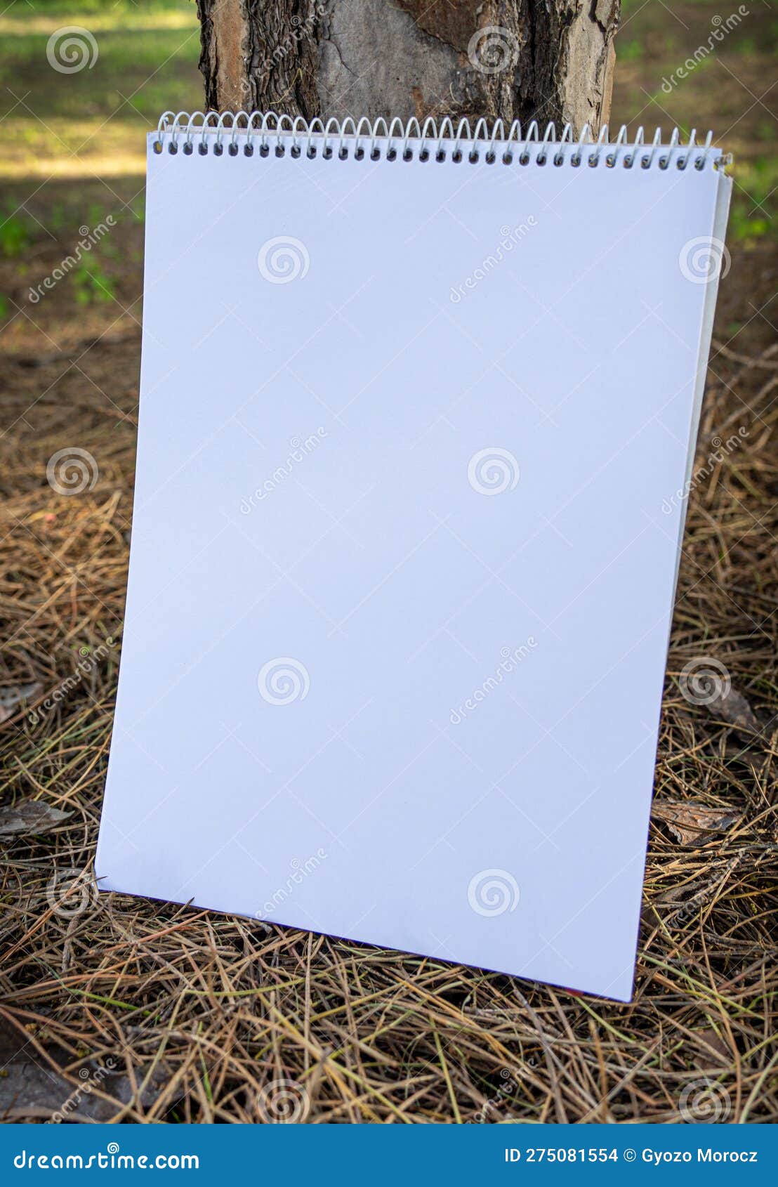 Vertical Notes Mockup in Forest Stock Illustration - Illustration of ...