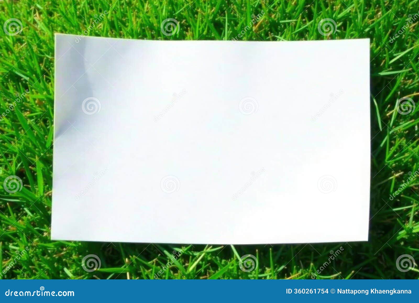 Clean White Paper Overlay on Grassy Background, Blank, Texture, Empty ...
