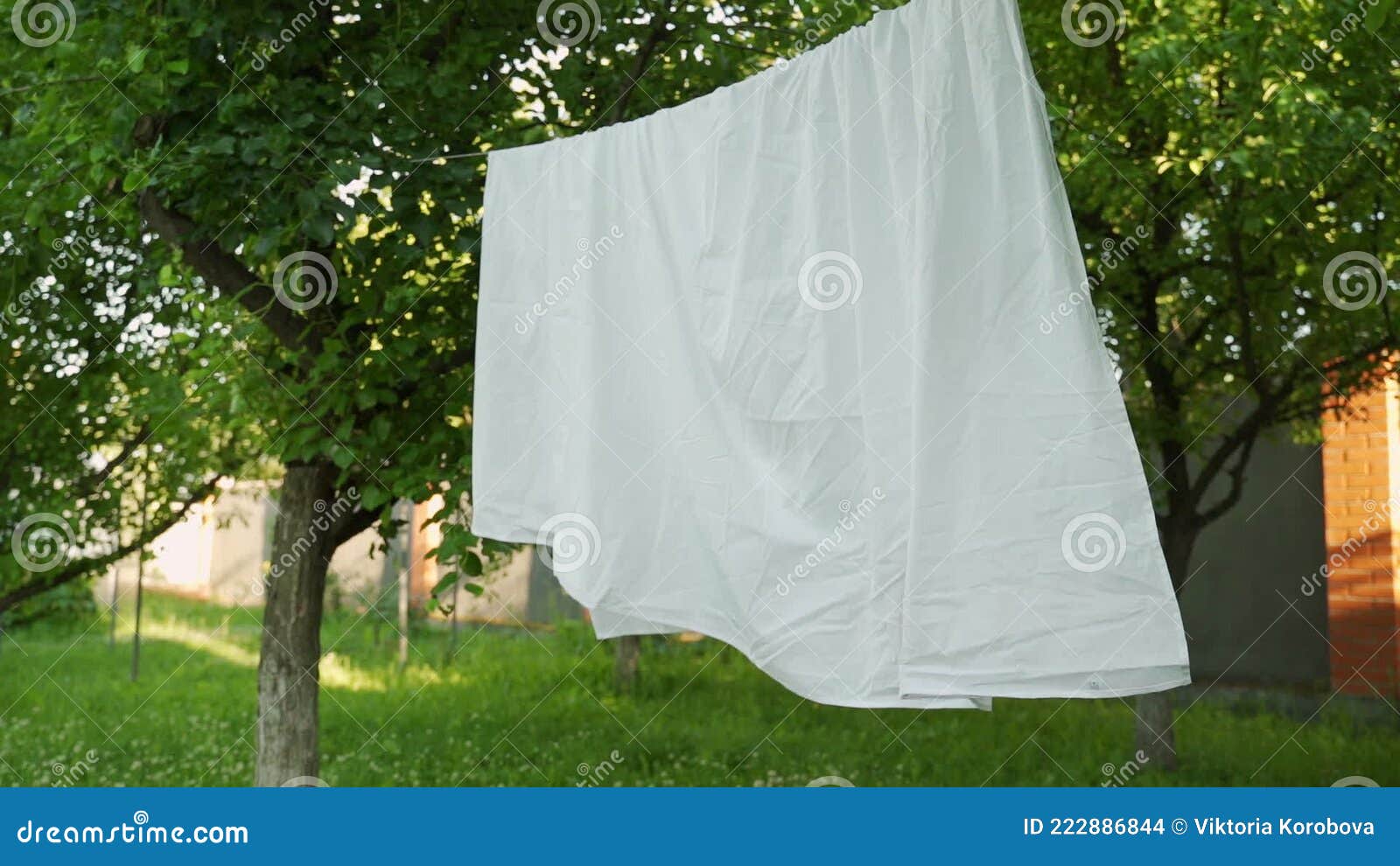 Clean White Sheet is Hanging on a Clothesline in the Backyard. Laundry ...