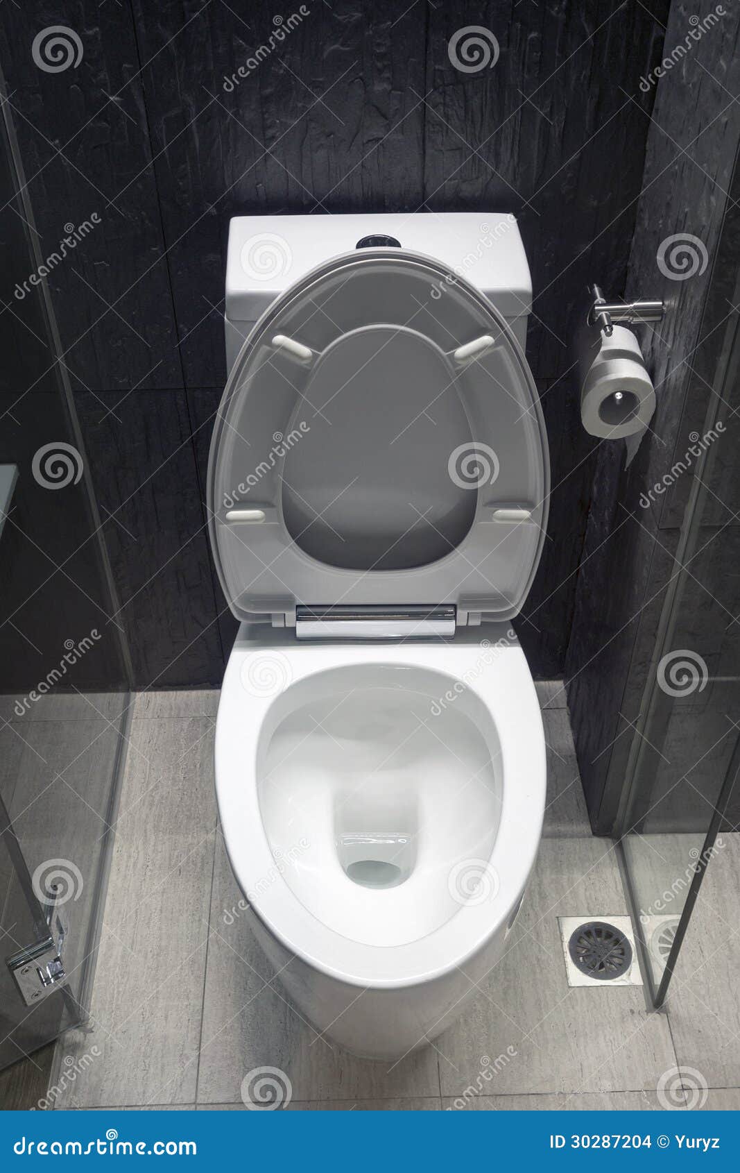 Modern toilet stock photo. Image of toilet, inside, stone - 30287204