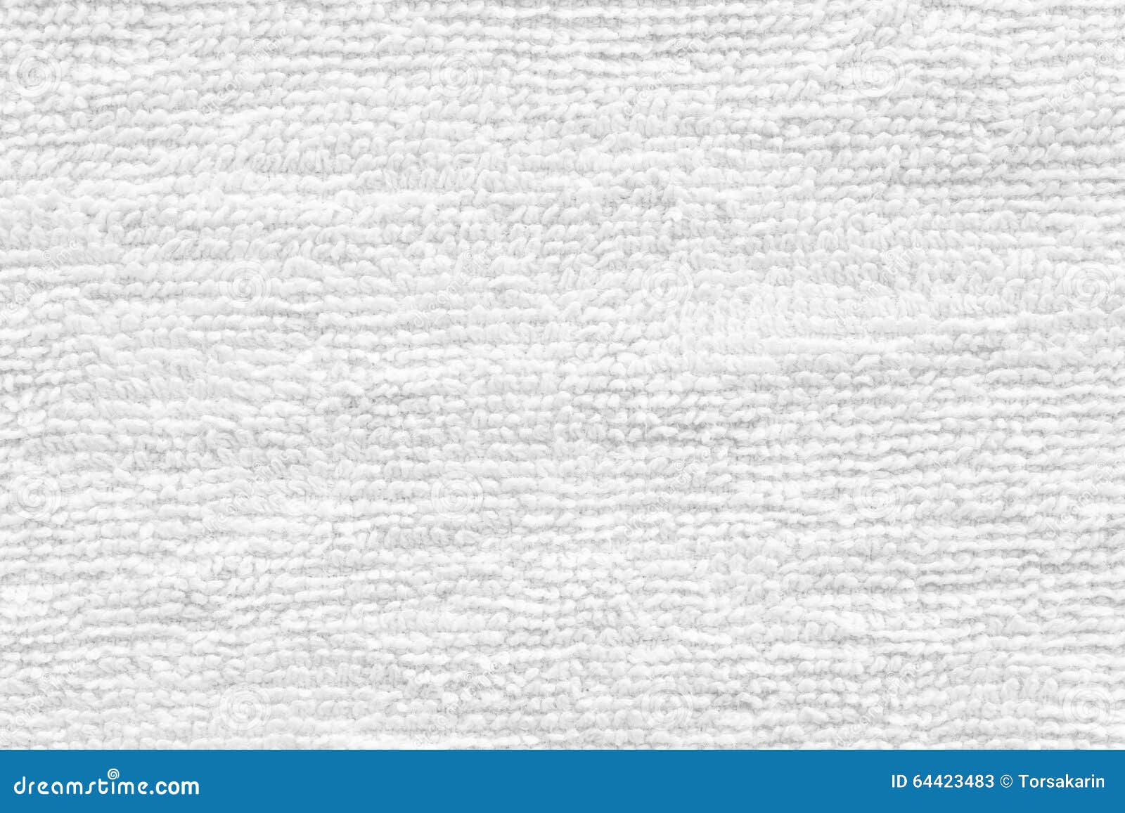 A Clean And Seamless Plywood Wood Texture. Different Wooden Textures Of ...