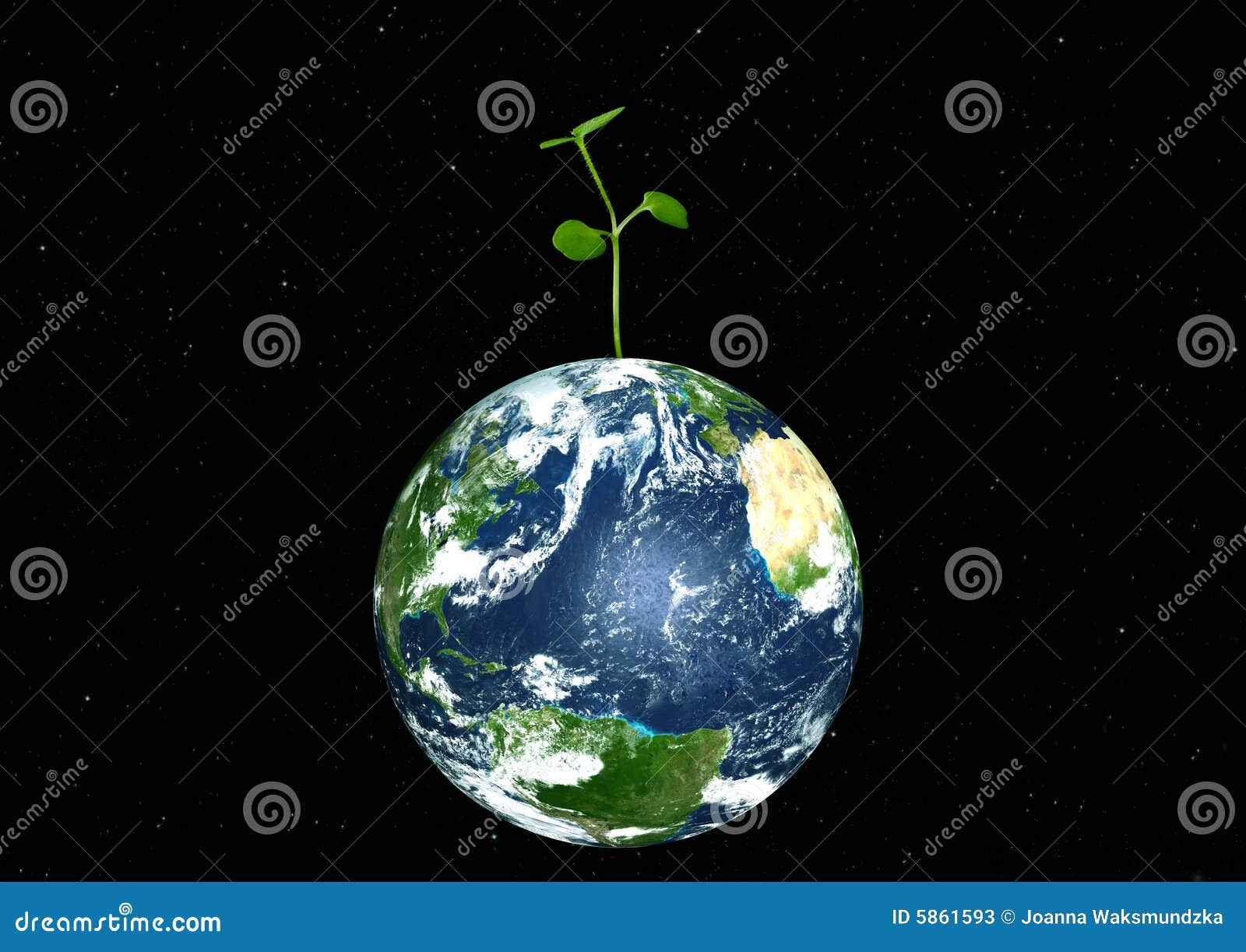 Clean World stock image. Image of flower, nature, global - 5861593