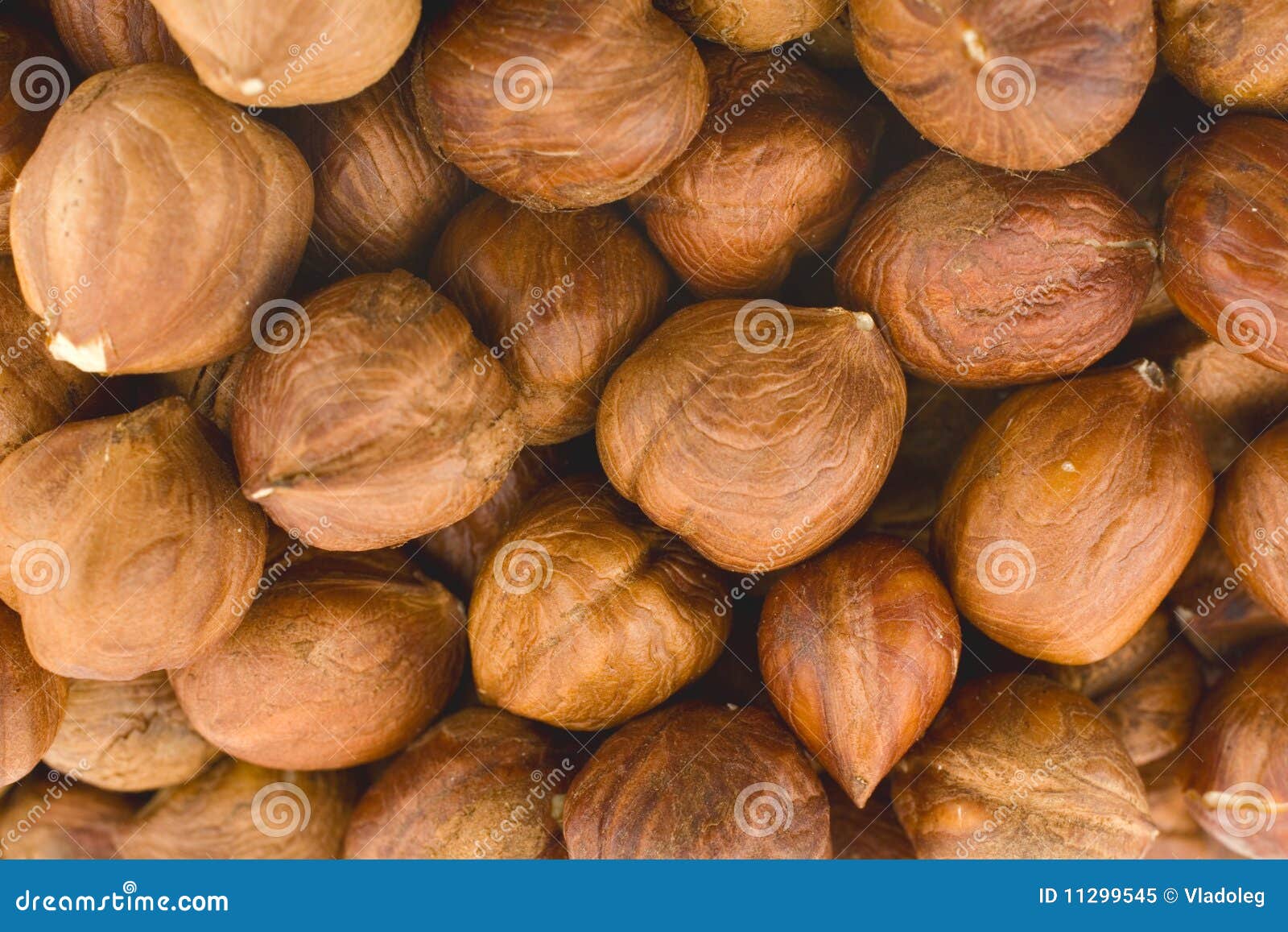 The cleaned filbert stock image. Image of hazel, fruit - 11299545
