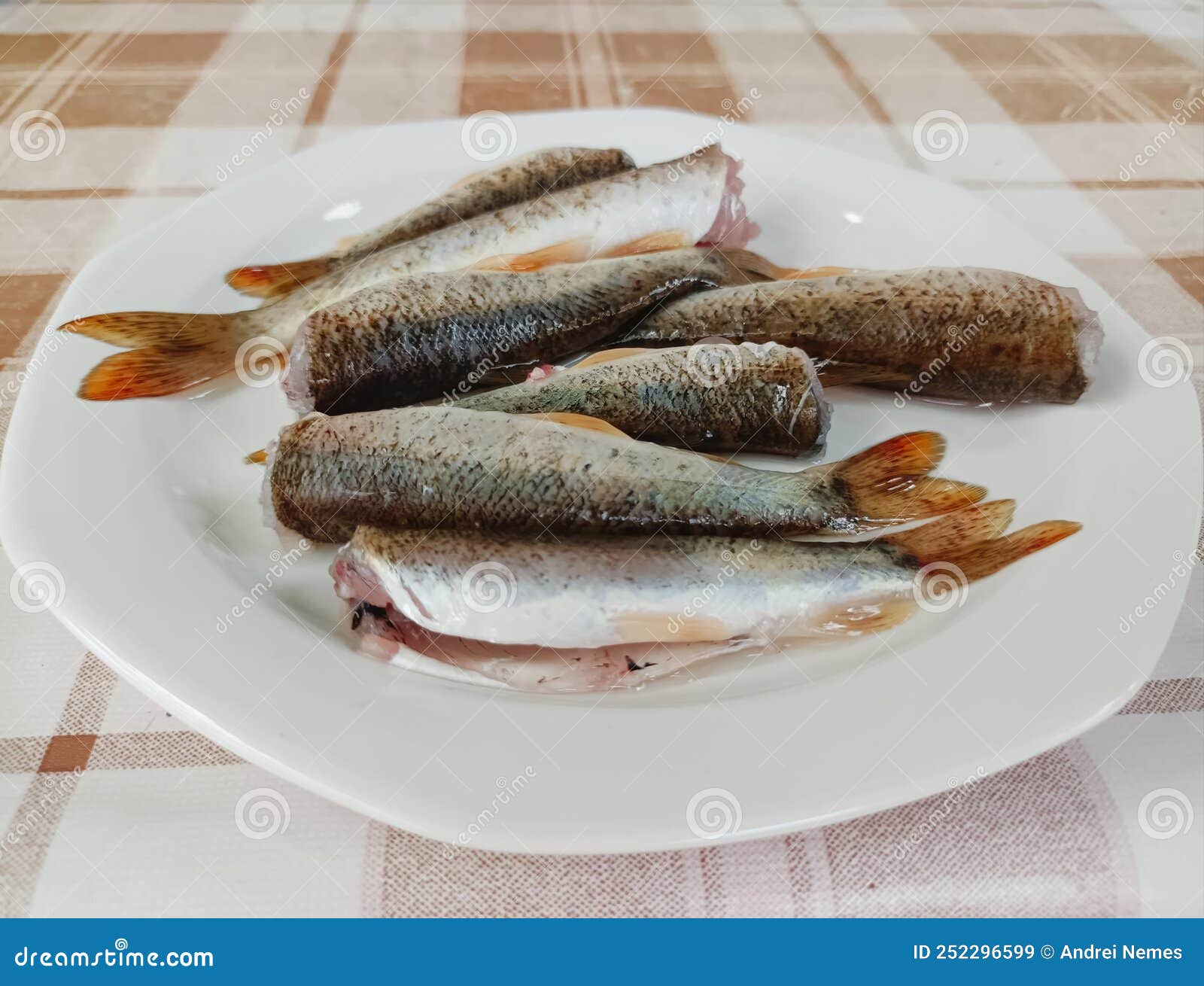 Cleaned fish ready to cook stock image. Image of cooked - 252296599