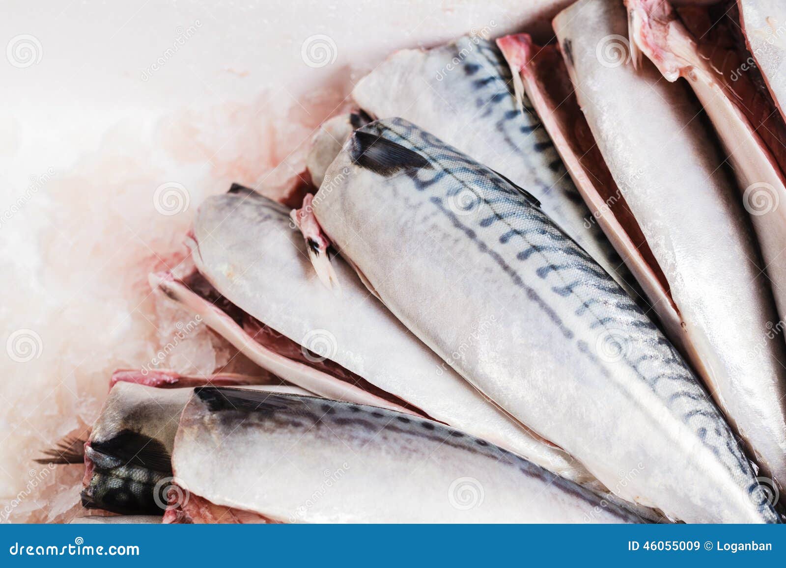 Cleaned Mackerel Stock Photos - Free & Royalty-Free Stock Photos from ...