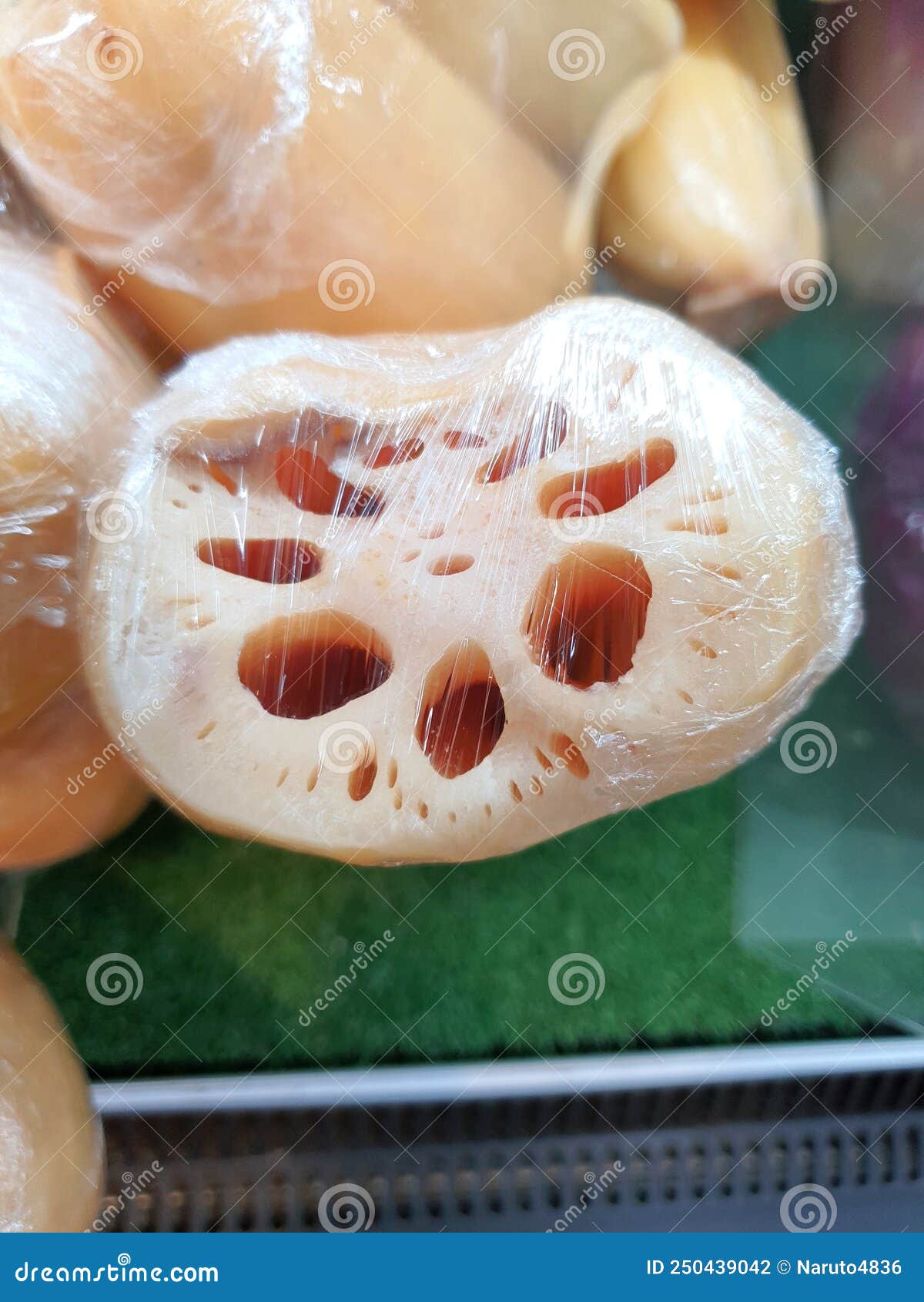Cleaned Lotus Root in Food Wrap Stock Photo - Image of root, wrap ...