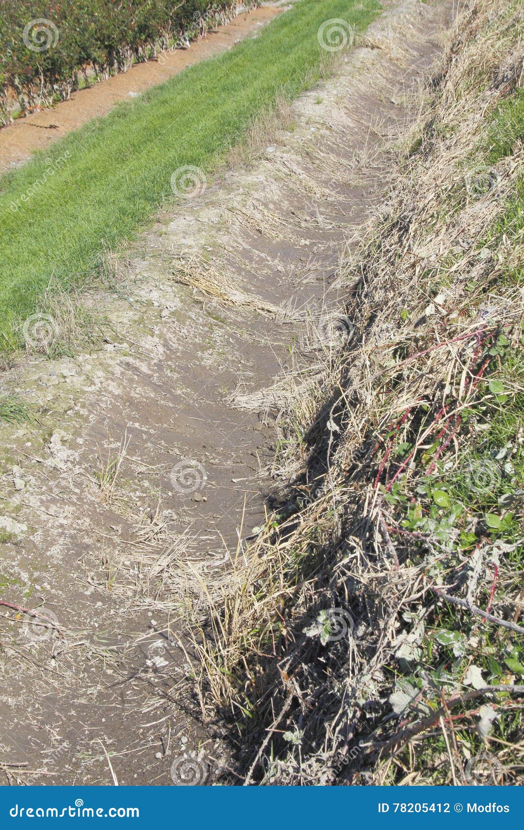 Cleaned and Maintained Ditch Stock Photo - Image of waste, maintenance ...