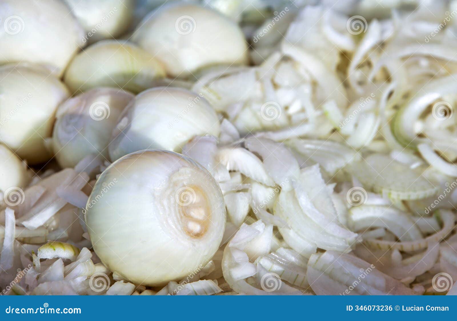 Cleaned Pealed Raw White Onions , Full and Cut Slices Stock Photo ...