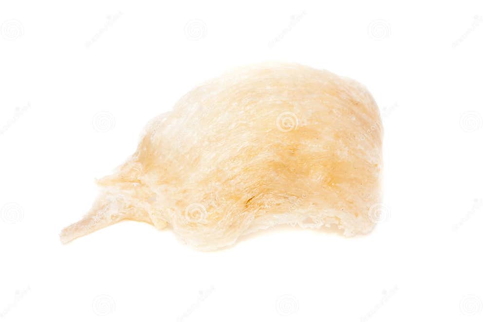 Cleaned swiftlet nest stock photo. Image of nutrition - 33250364