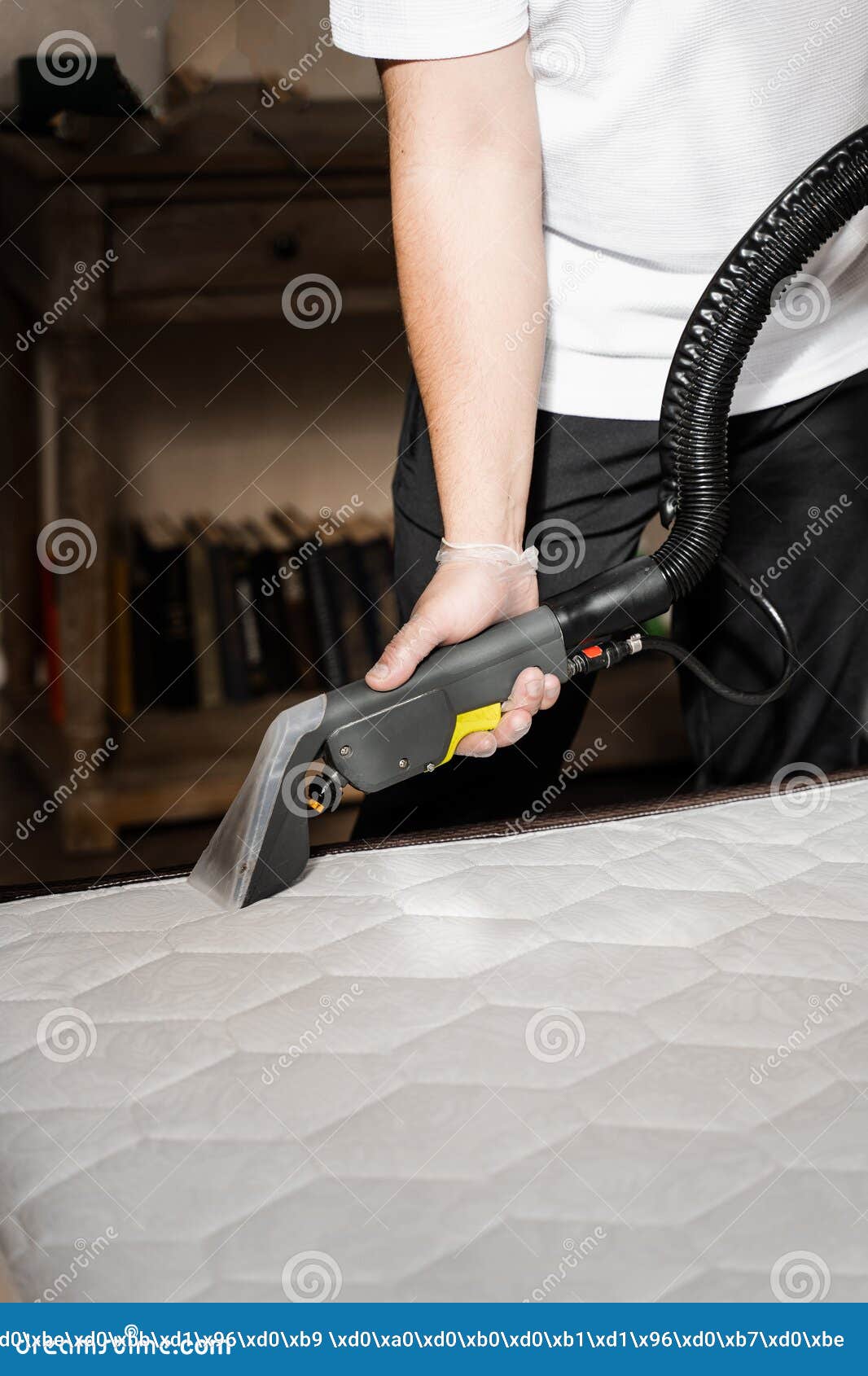Cleaner is Extracting Dirt from Mattress Using Dry Cleaning Extractor ...