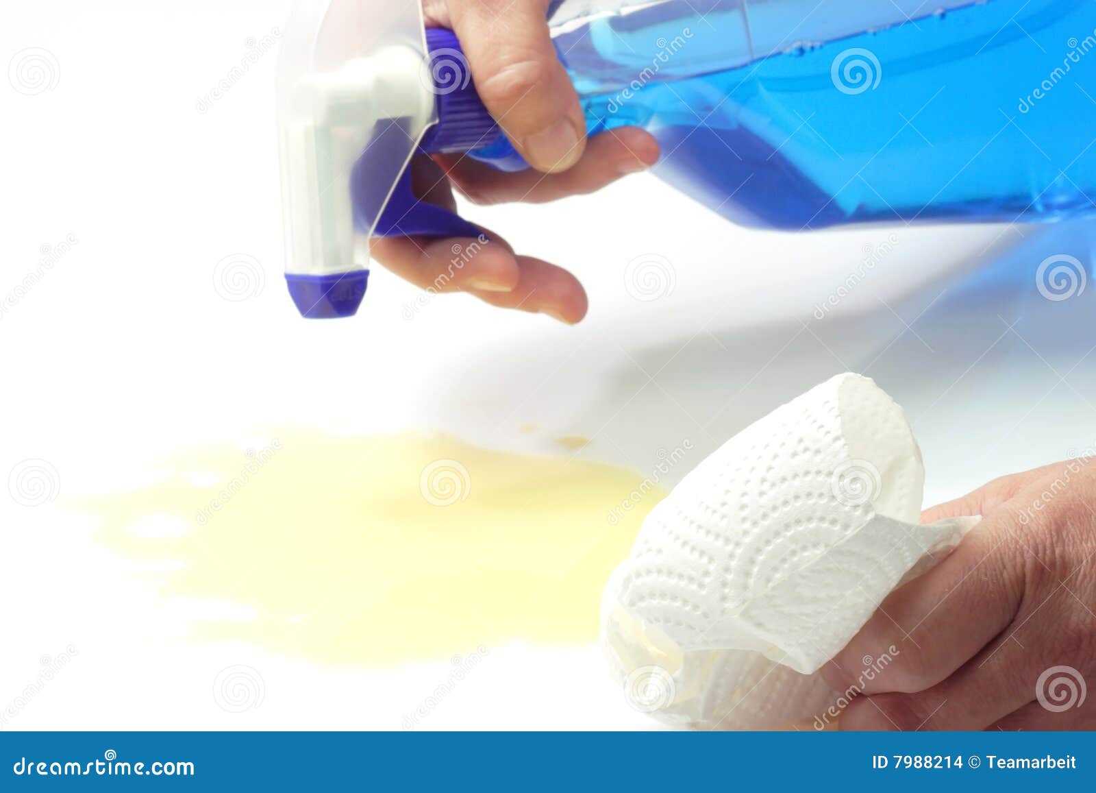 Cleaning stock photo. Image of hands, paper, chore, household - 7988214