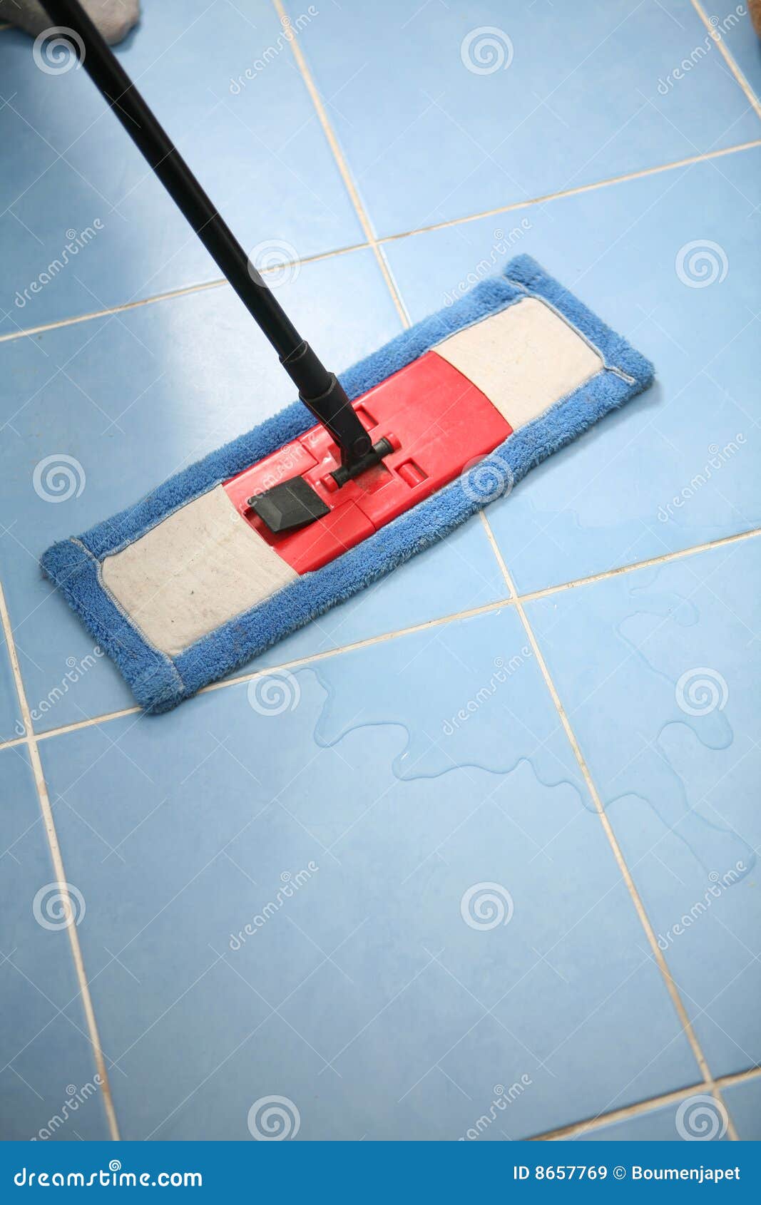 Cleaning stock image. Image of hygiene, shiny, cleaner - 8657769