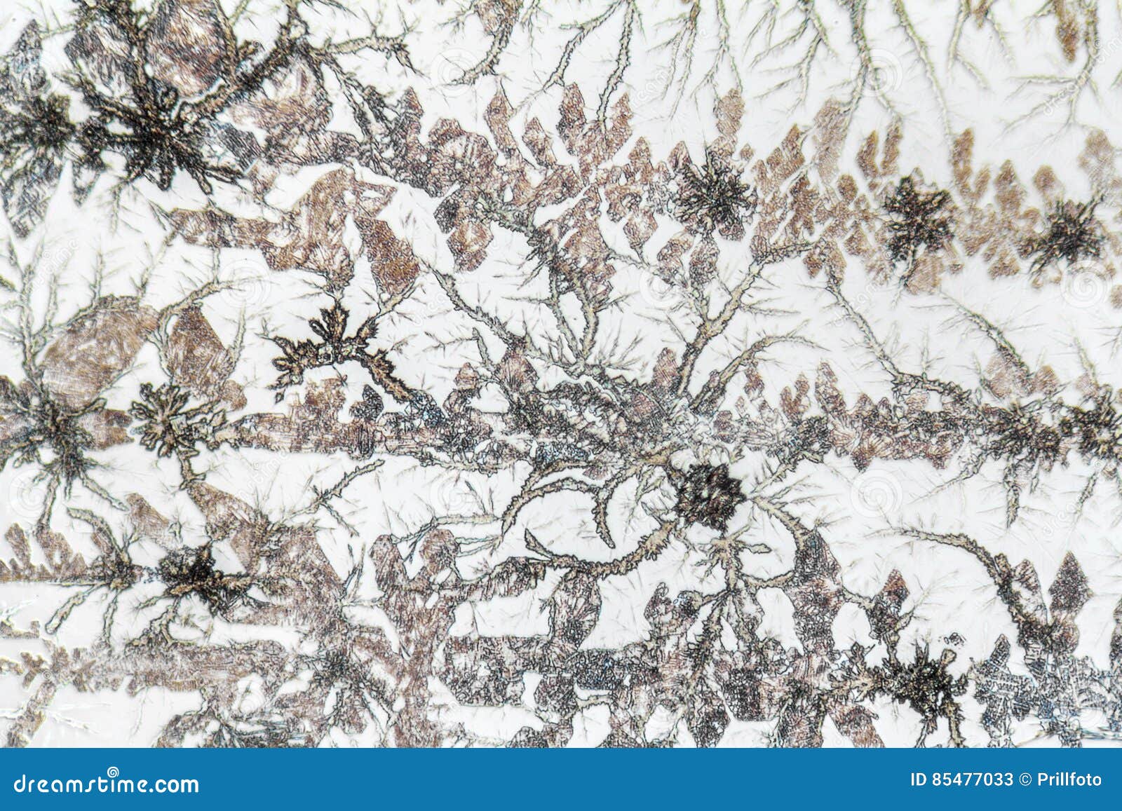 Cleaning agent micrography stock image. Image of detergent - 85477033