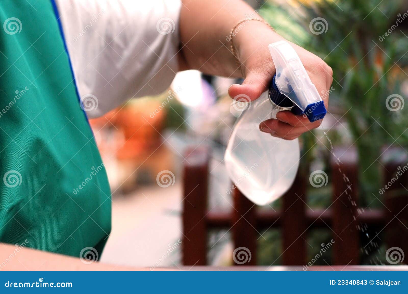 Cleaning bottle atomizer stock image. Image of slice - 23340843