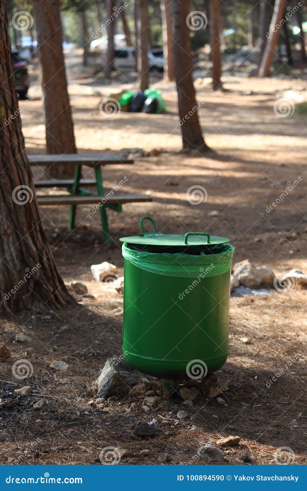 Garbage Collection in the Forest Stock Photo - Image of areas ...
