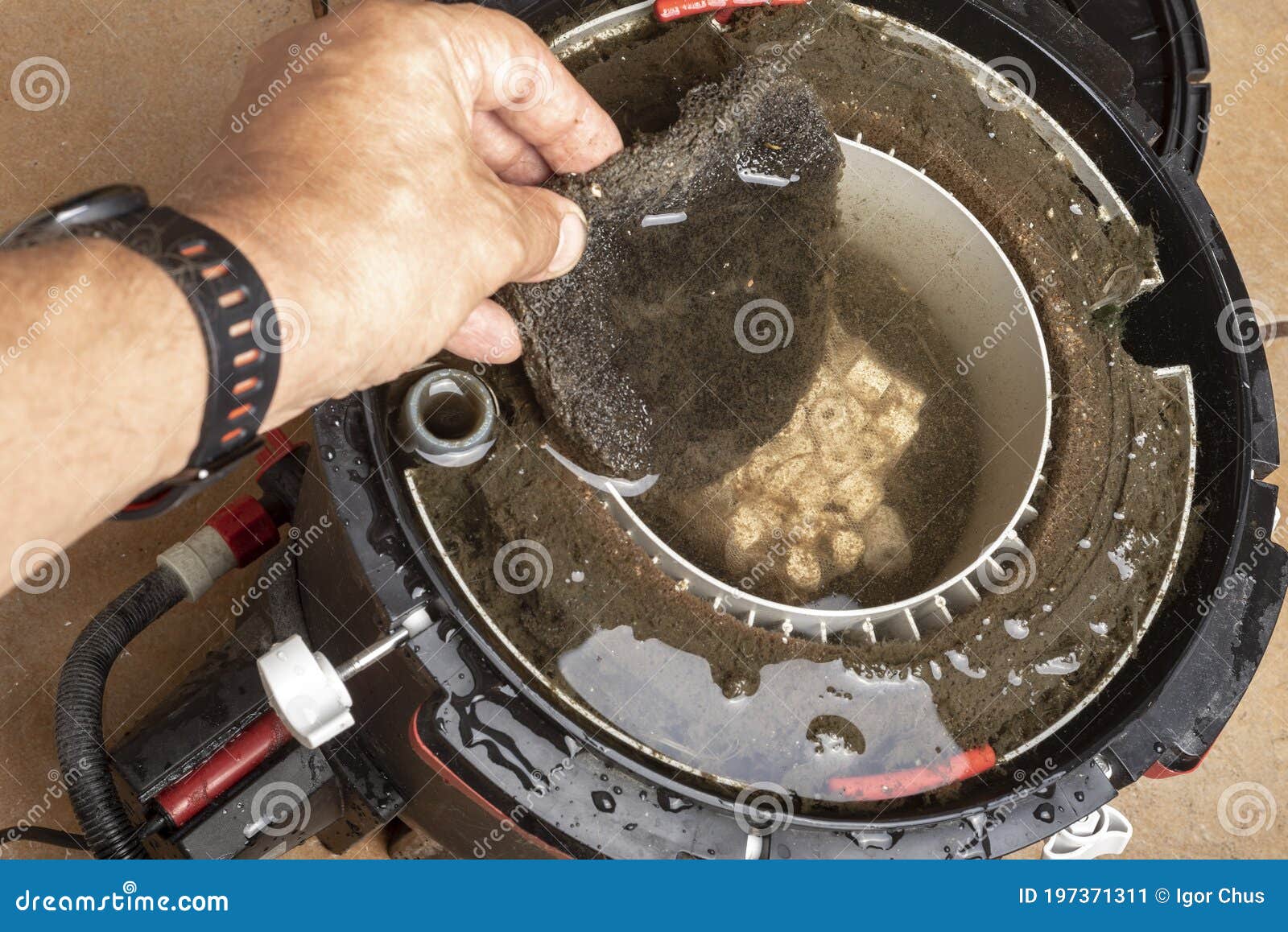 Cleaning Dirty External Aquarium Filter Stock Image - Image of cleaner ...