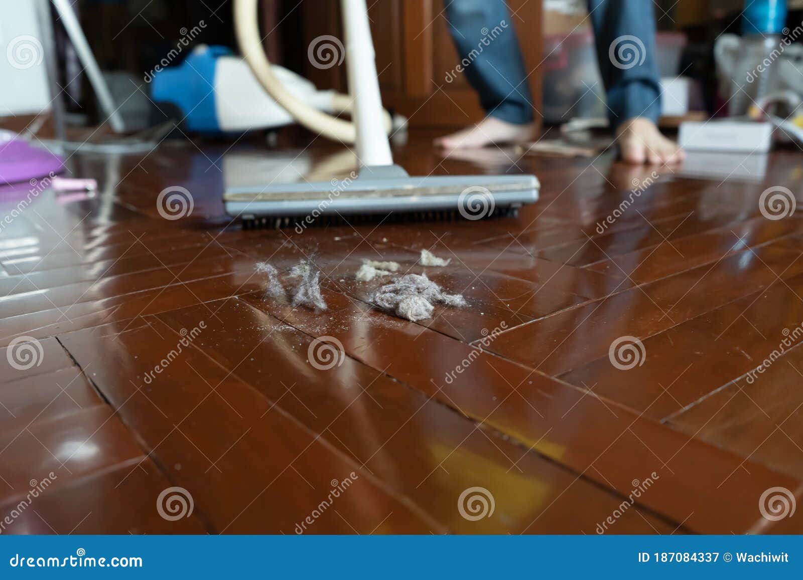 A Dust Lump And A Layer Of Dust On The Furniture Stock Photo ...