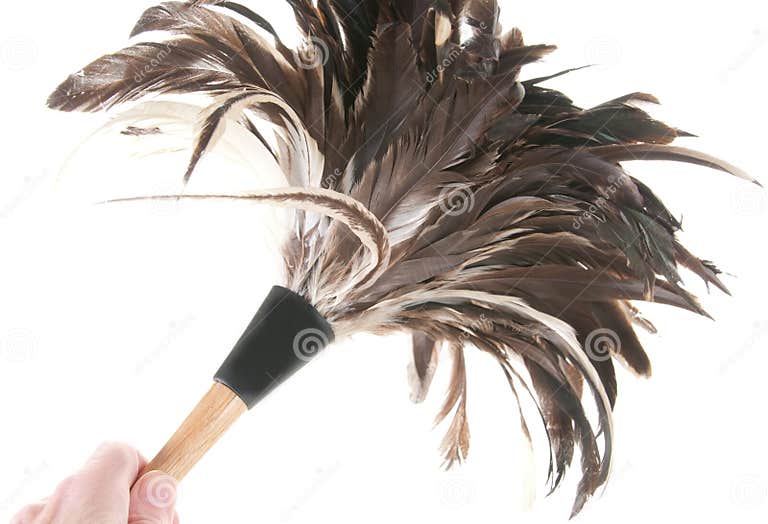 Cleaning with Feather Duster Stock Image - Image of dust, duster: 17934417
