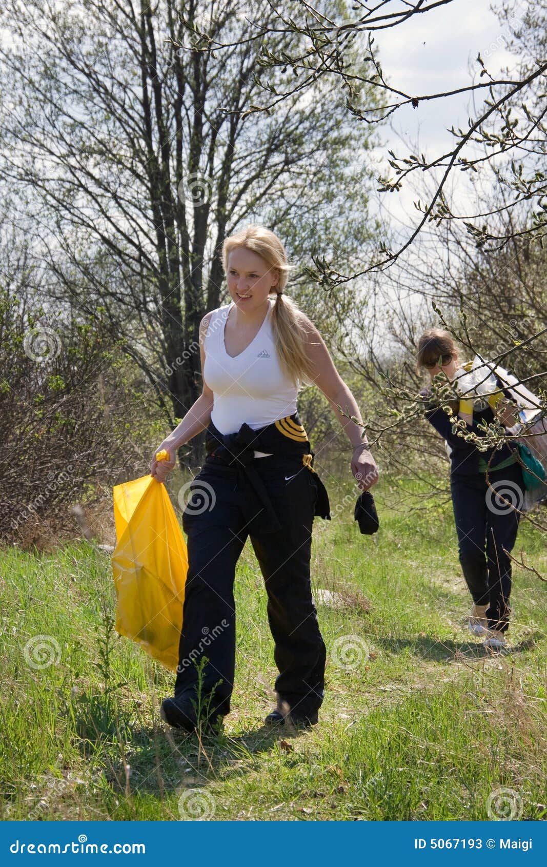 Cleaning Forest Machine Grinding Wood - Environment Editorial Photo ...