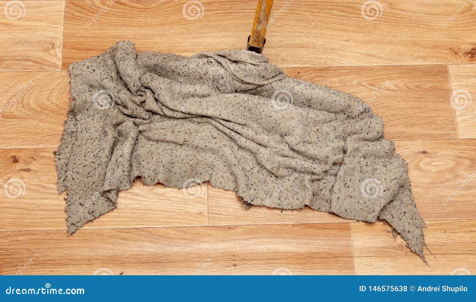 Cleaning a House with a Rag on a Mop Stock Photo - Image of parquet ...