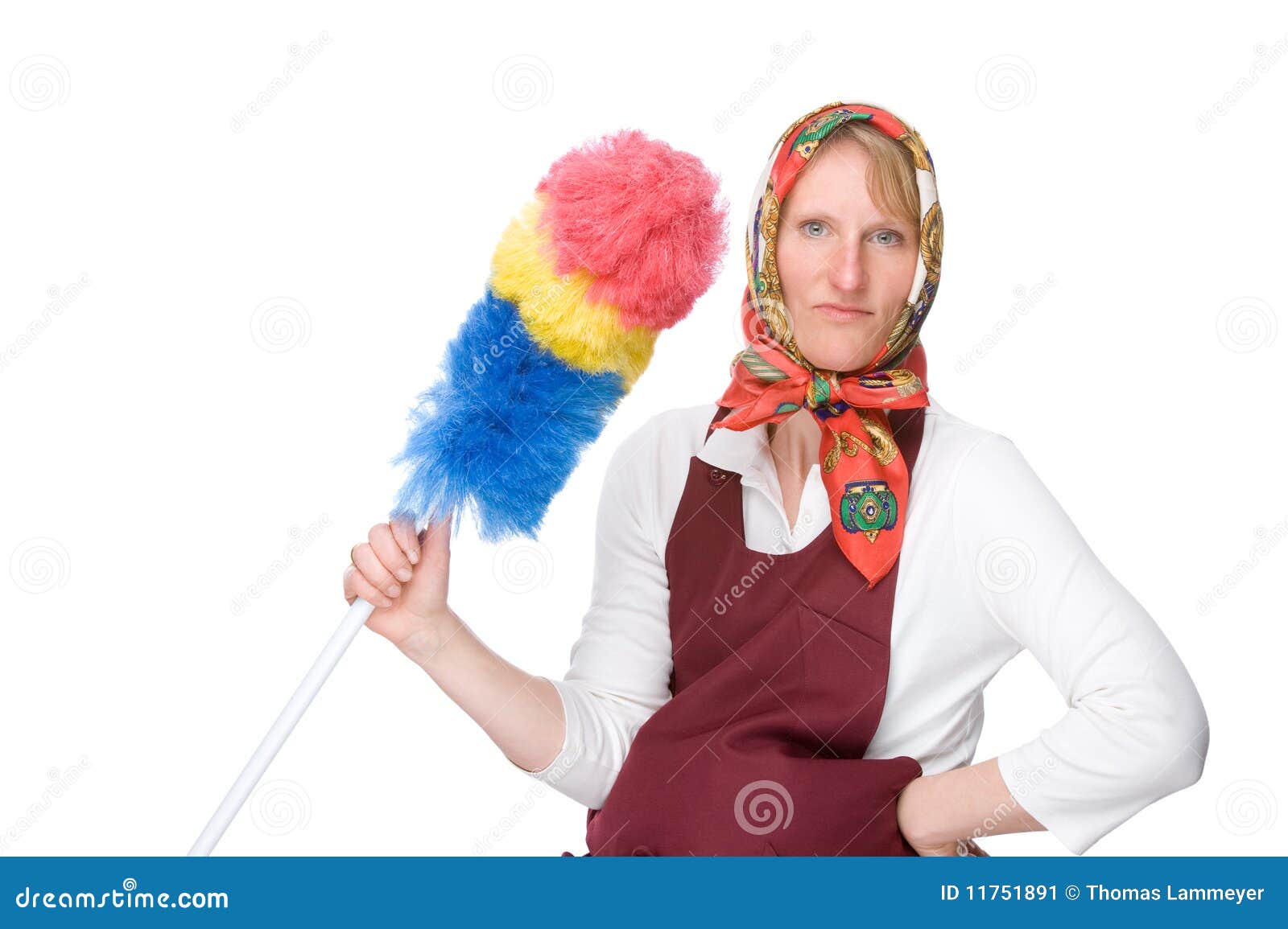 Cleaning lady stock image. Image of hand, housecleaning - 11751891
