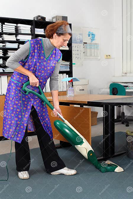 Cleaning lady stock image. Image of holding, housewife - 18481329