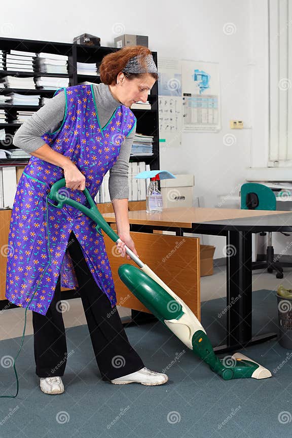 Cleaning lady stock image. Image of holding, housewife - 18481329
