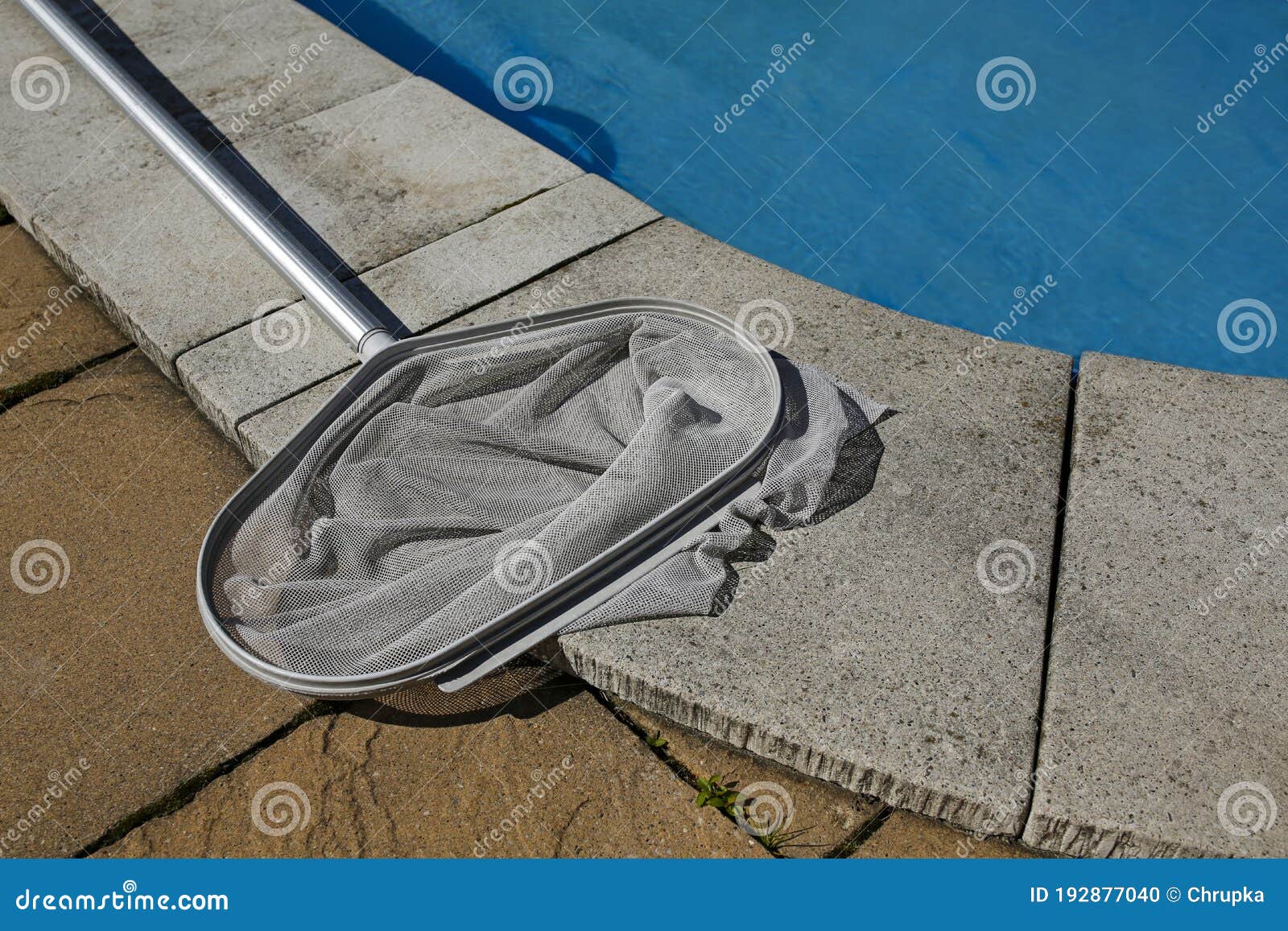 Cleaning Net Next To Blue Swimming Pool Stock Photo - Image of outdoor ...