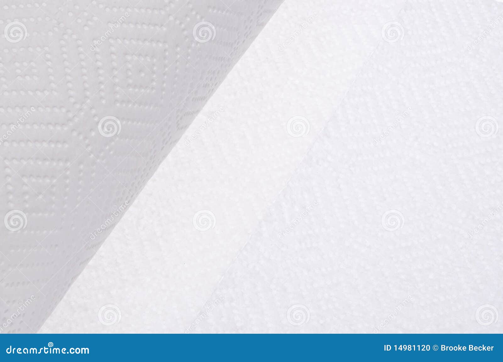 Cleaning with Paper Towels stock photo. Image of concept - 14981120