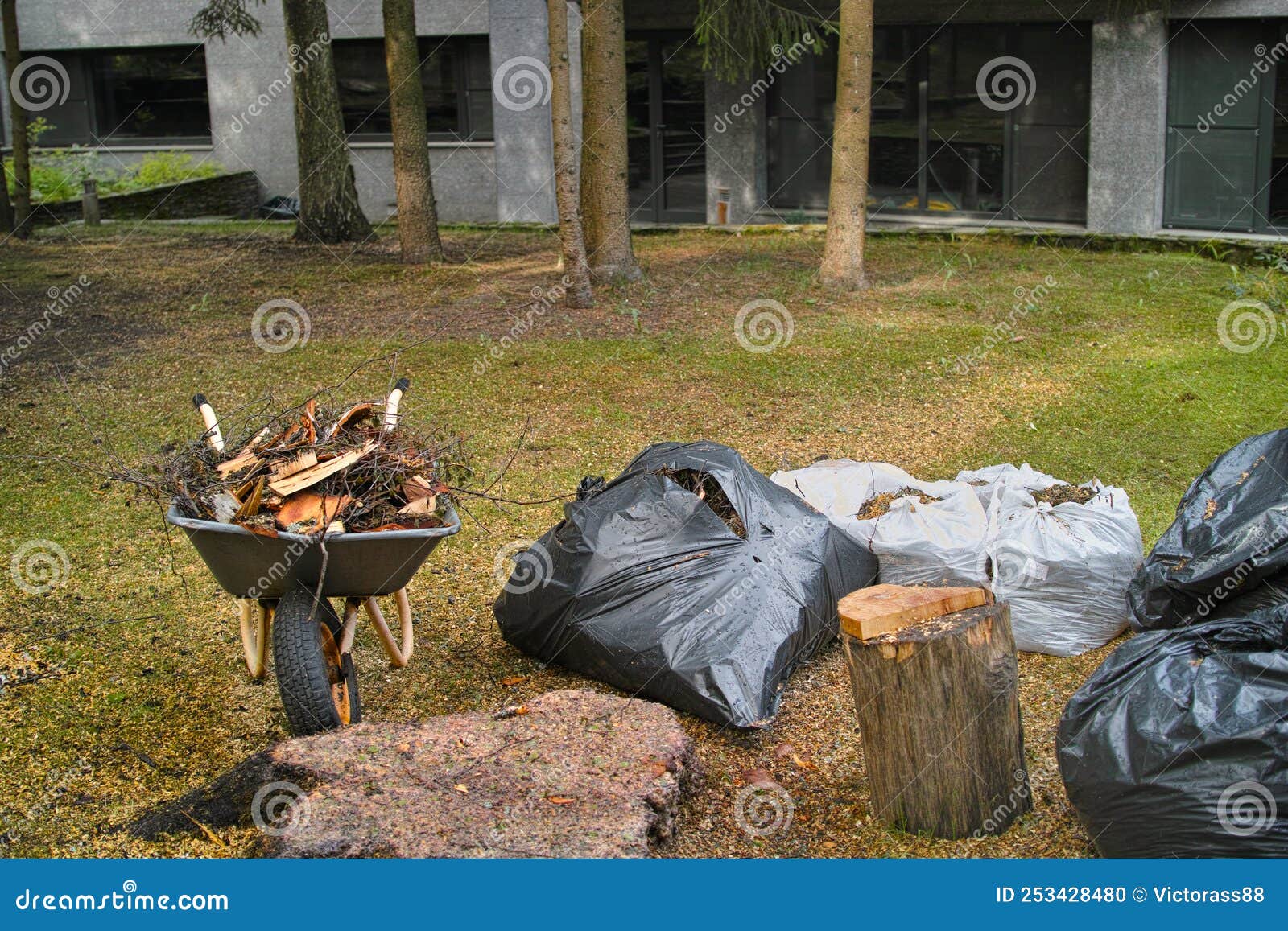 Cleaning a plot stock photo. Image of landscaping, disposable - 253428480