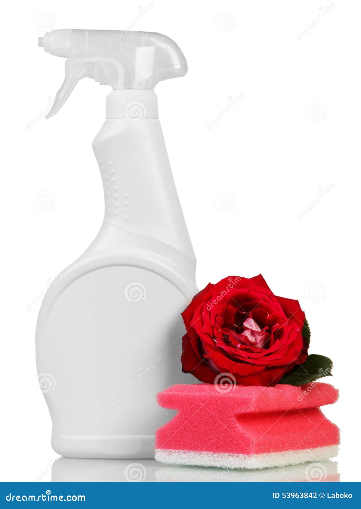 Cleaning products and rose stock photo. Image of bleach - 53963842