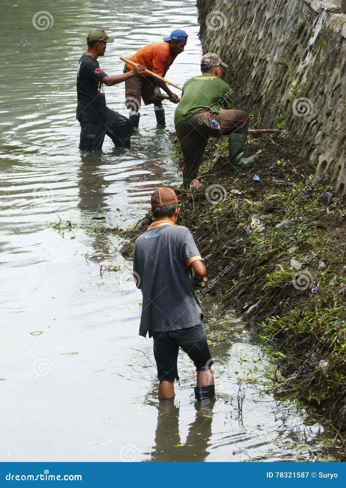 Cleaning the river editorial photography. Image of tree - 78321587