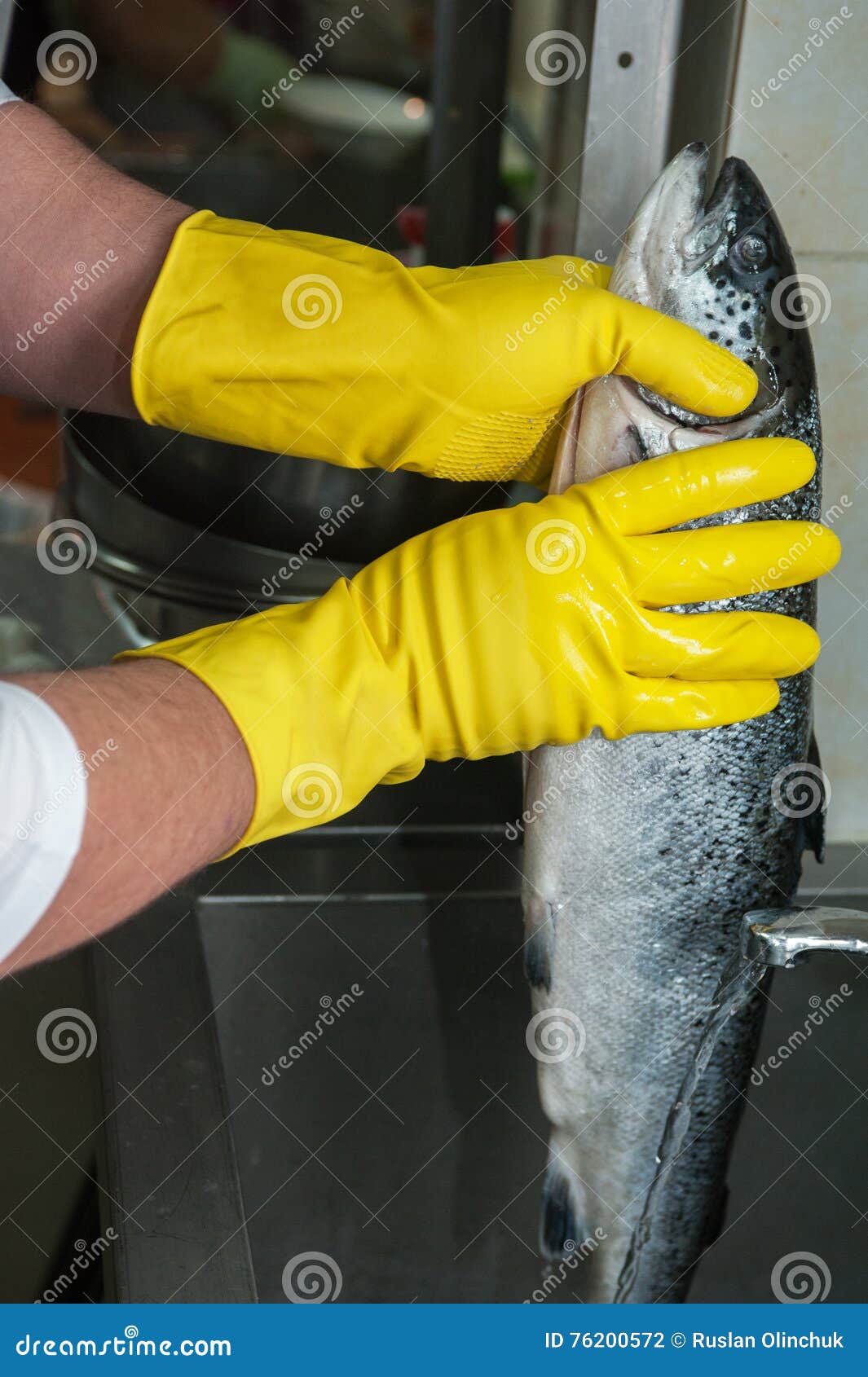 Cleaning salmon fish stock photo. Image of kitchen, cooking - 76200572
