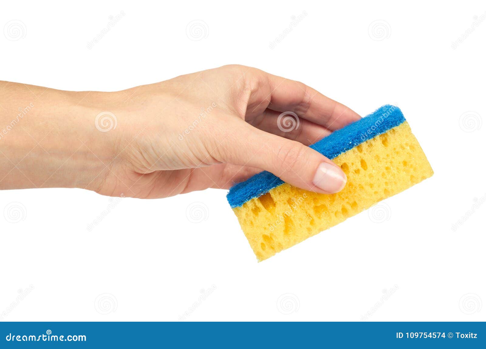 Cleaning Sanitary Yellow Sponge in Hand, Isolated on White Background ...